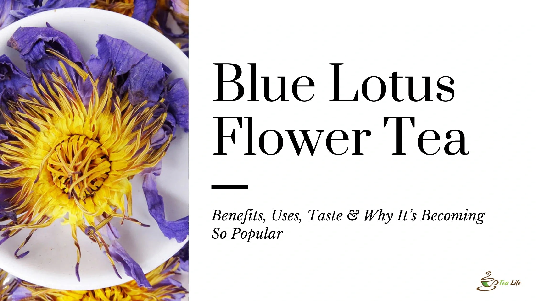 Blue Lotus Flower Tea: Benefits, Uses, Taste – Tea Life