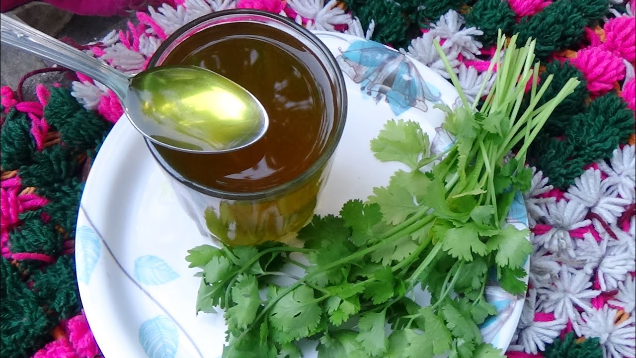 Coriander Tea - Ancient, Traditional, and Modern Benefits – Tea Life