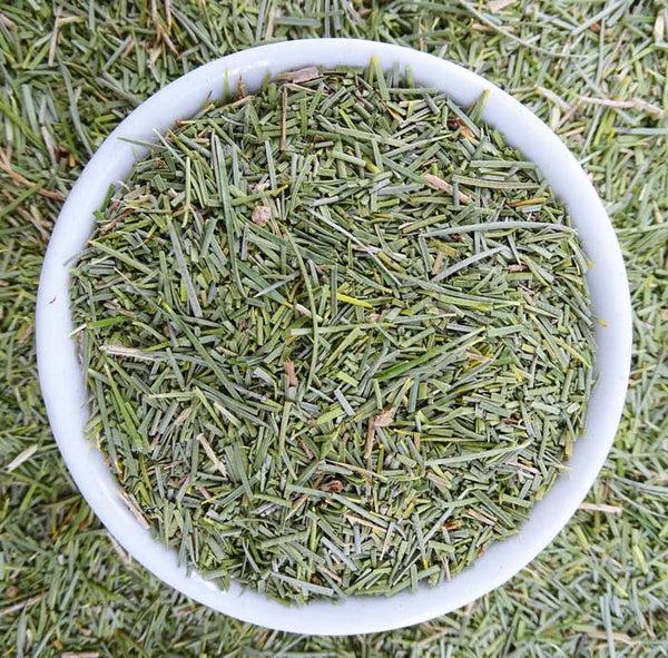 Buy Honey Myrtle Native Tea | Tea Life | Wildcrafted Herbal Tea