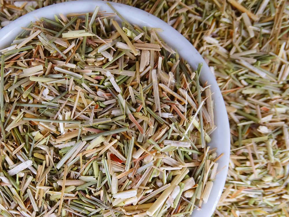 Lemongrass Native Tea | Tea Life | Australian Grown