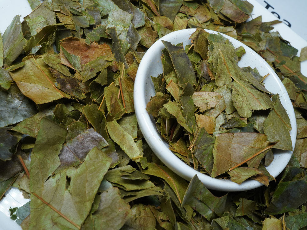 Soursop Leaf Tea | Tea Life | Buy Soursop Leaf Tea