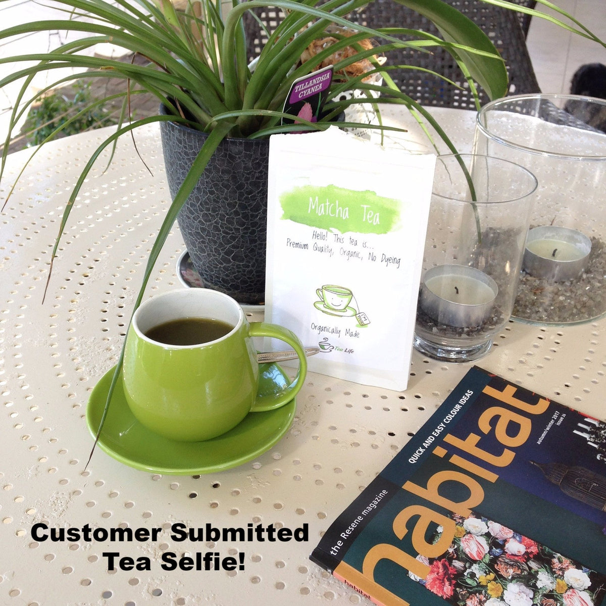 Shop Organic Loose Leaf & Herbal Teas Online | Tea Life™