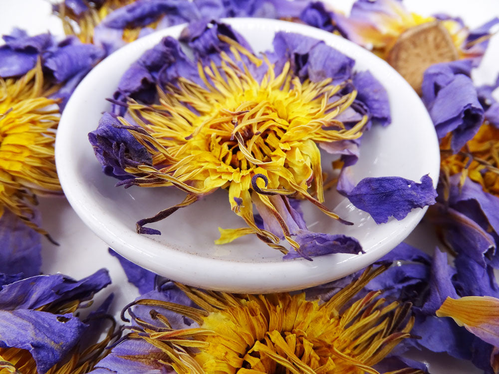 Egyptian Blue Lotus Flower | Tea Life™ | Blue Lotus Tea