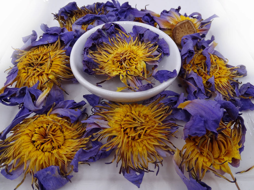 Egyptian Blue Lotus Flower | Tea Life™ | Blue Lotus Tea