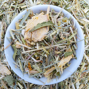 Shop Organic Loose Leaf & Herbal Teas Online | Tea Life™