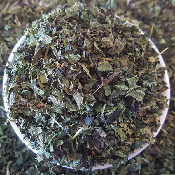 Nettle Tea | Tea Life | Buy Organic Loose Leaf Tea Online